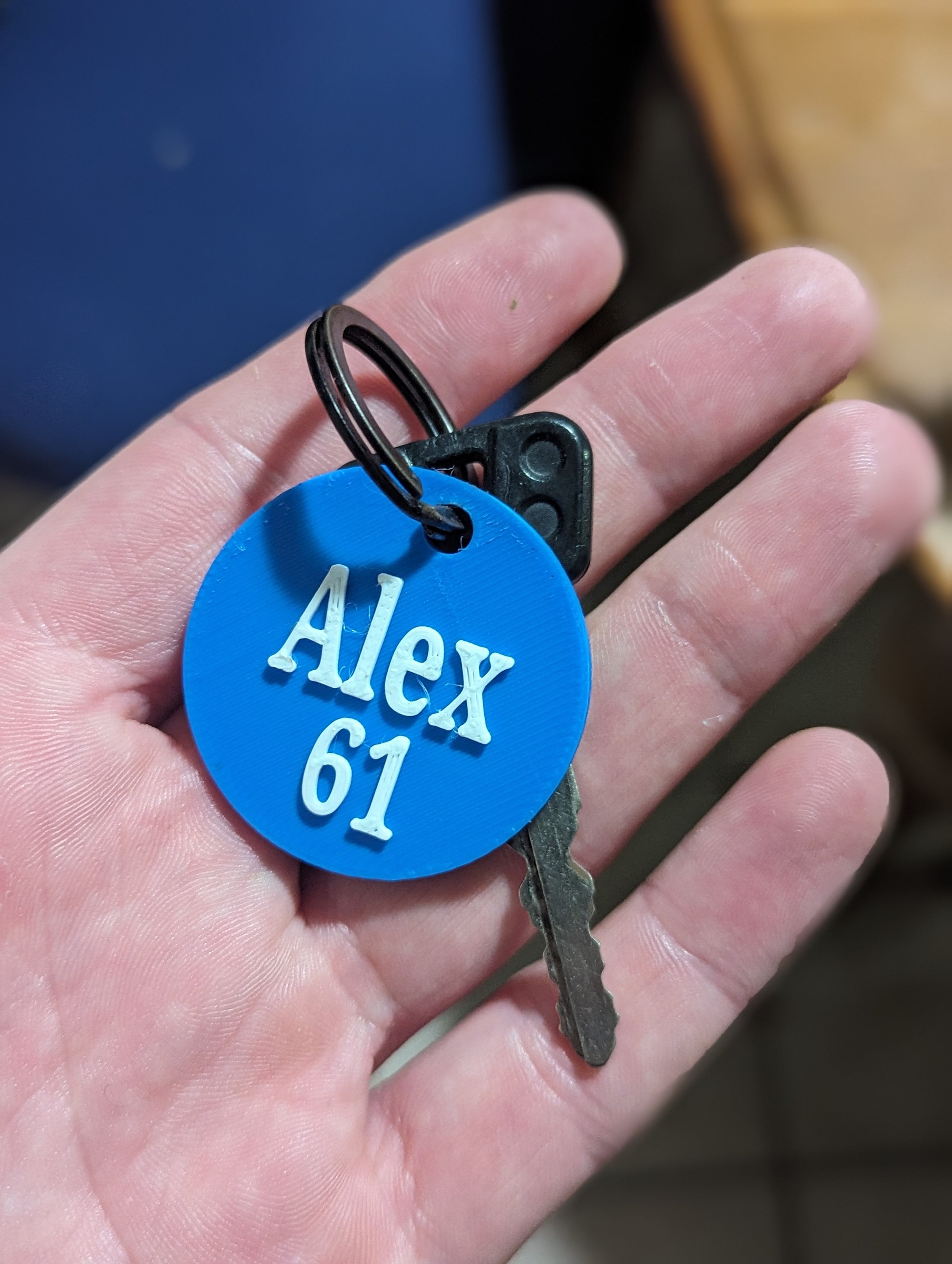 Custom 3D Printed Keychain: Personalized Llv/ffv/promaster Key Tag - Etsy