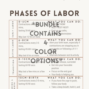 Phases of Labor Birth Handout Midwife Doula Contractions First-time Mom ...