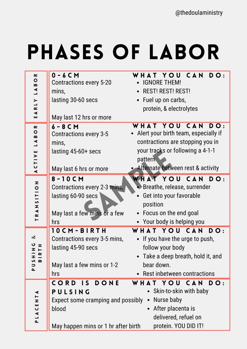 Phases of Labor Birth Handout Midwife Doula Contractions First-time Mom ...