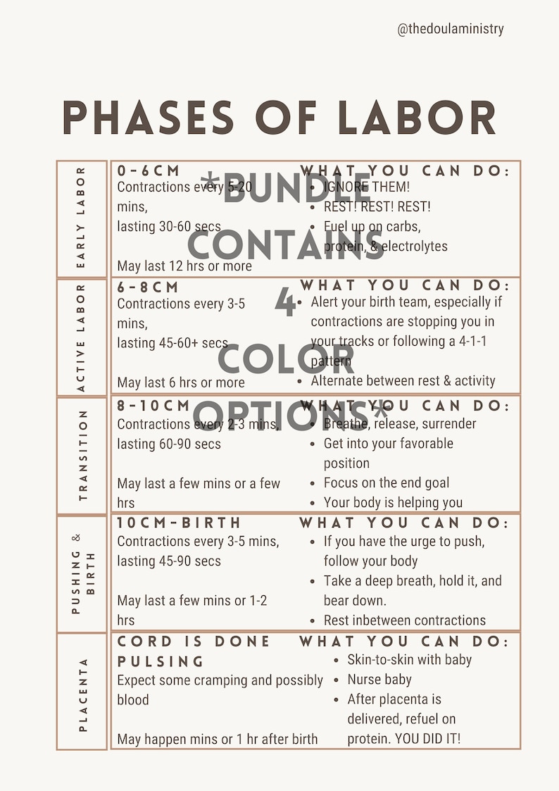 Phases of Labor Birth Handout Midwife Doula Contractions First-time Mom ...