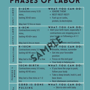 Phases of Labor Birth Handout Midwife Doula Contractions First-time Mom ...