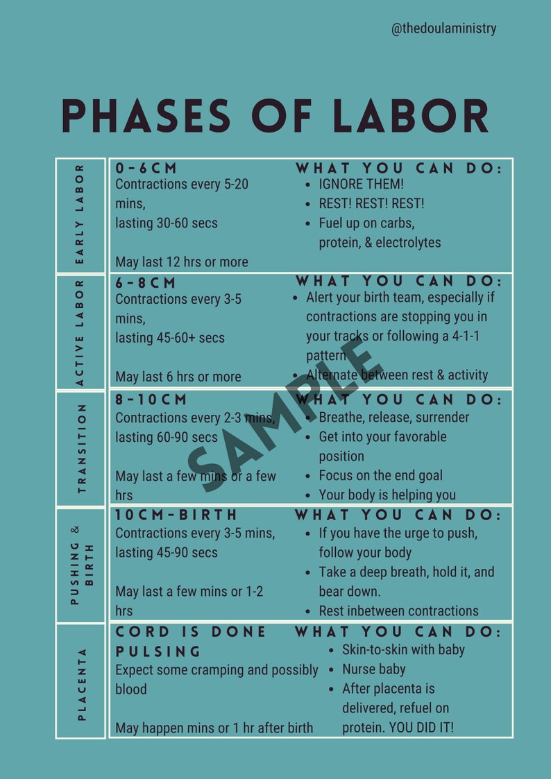 Phases of Labor Birth Handout Midwife Doula Contractions First-time Mom ...