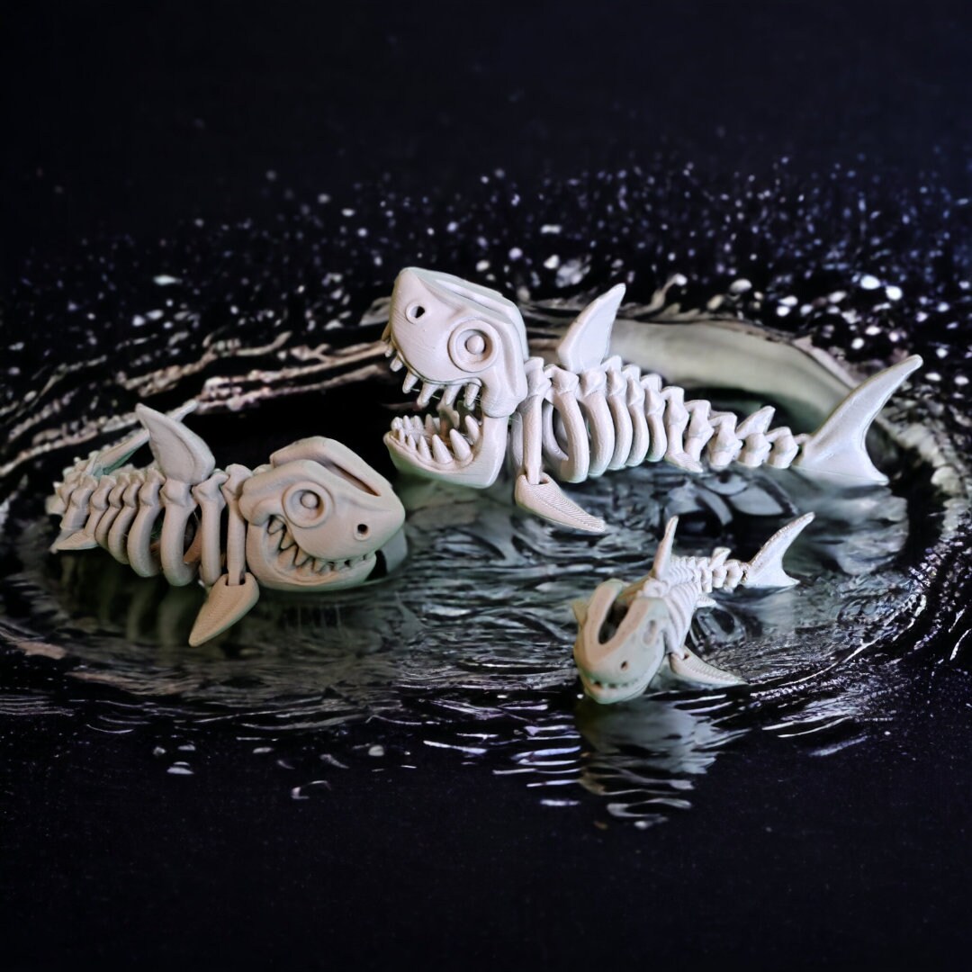 Shark Skeleton Articulating 3D Print - Etsy Australia
