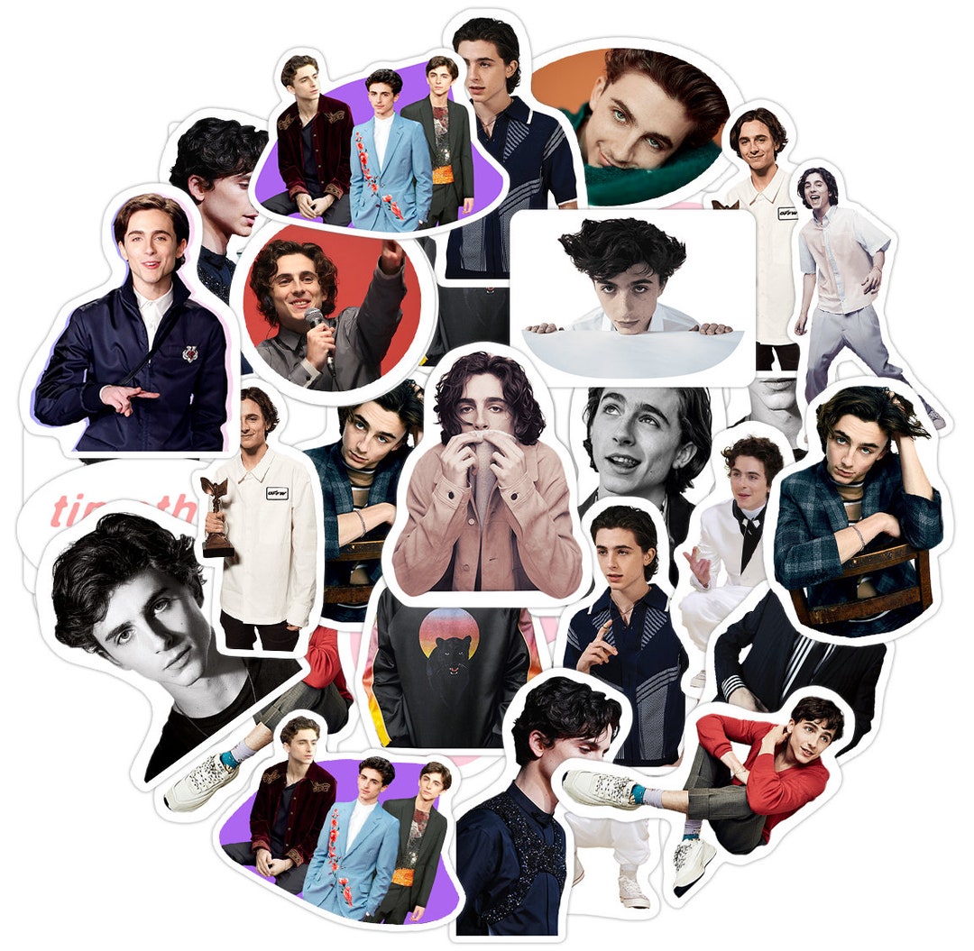 20PCS Decals Timo Chal Stickers Waterproof Actor Vinyl Decals for Water ...