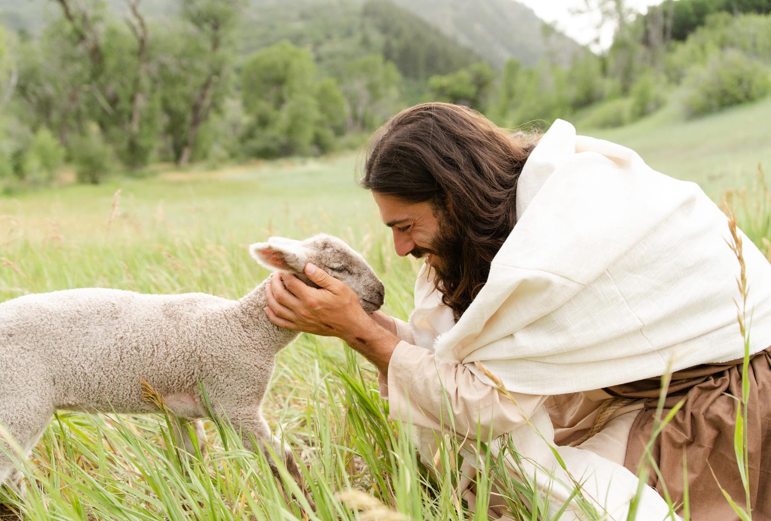 Jesus Christ With Sheep "the One" Christ With Lamb Christian Art LDS ...