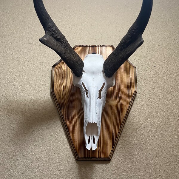 European Mount - Etsy