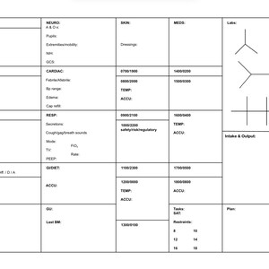 ICU Report Sheet With Time Blocks Lab Section and Restraints - Etsy