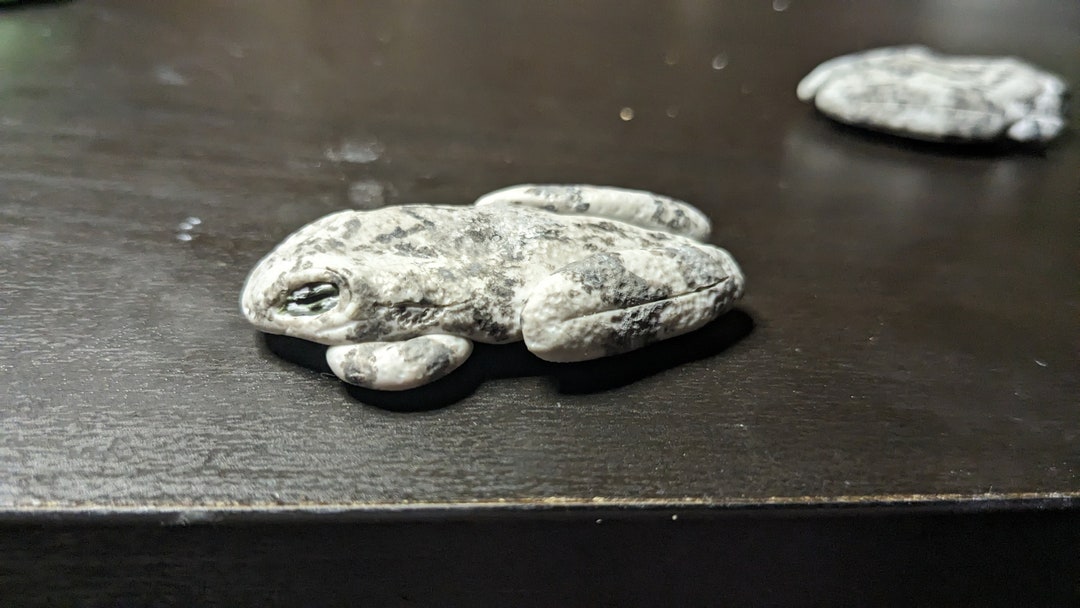 Sleeping Grey Tree Frog Fridge Magnet - Etsy