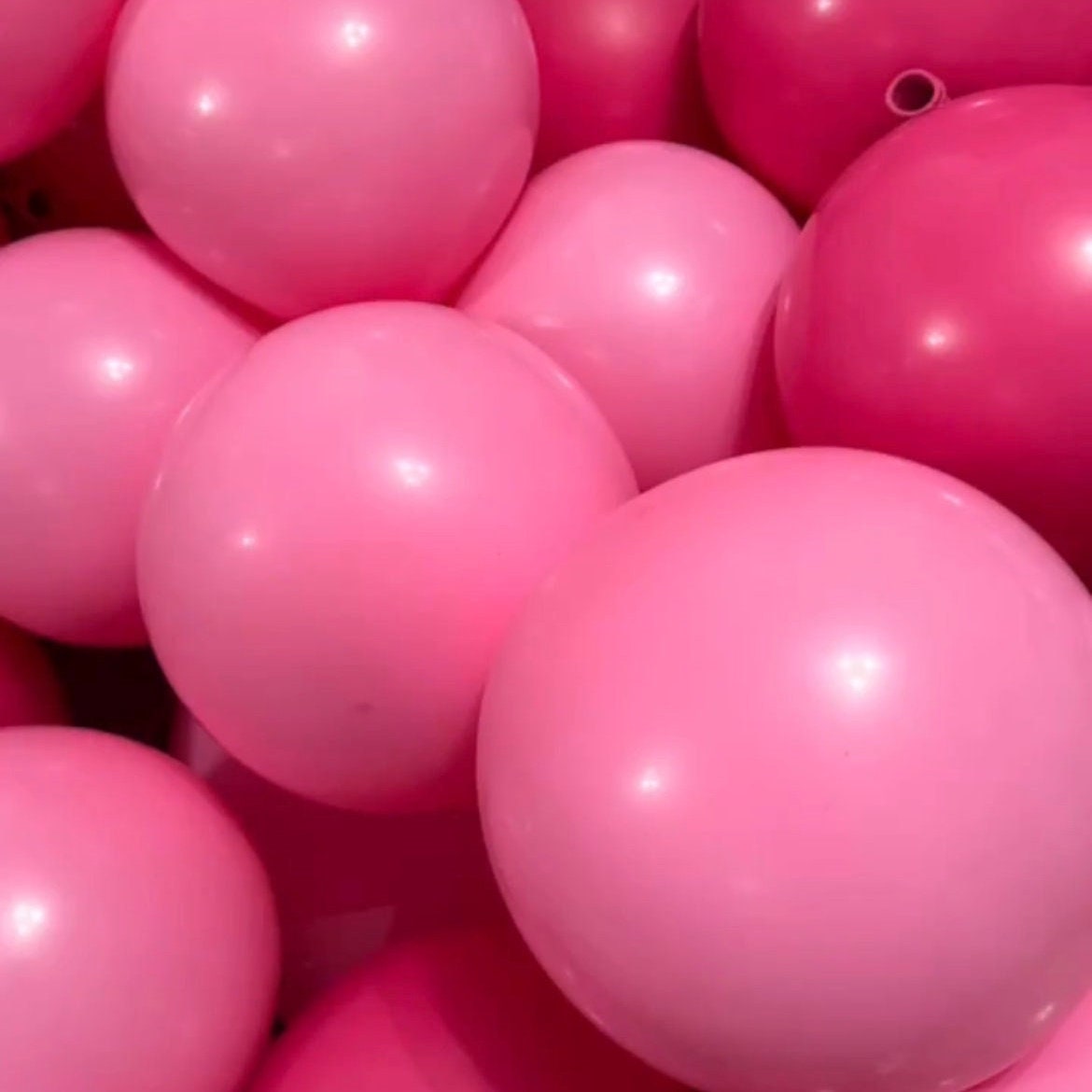 106 Pcs Pink Macaroon Barbie Pink Balloon Garland Arch Kit for Hen ...