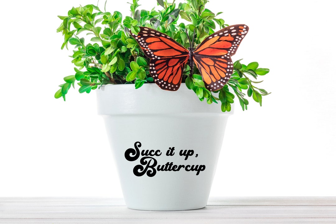 Succ It up Buttercup SVG - Etsy