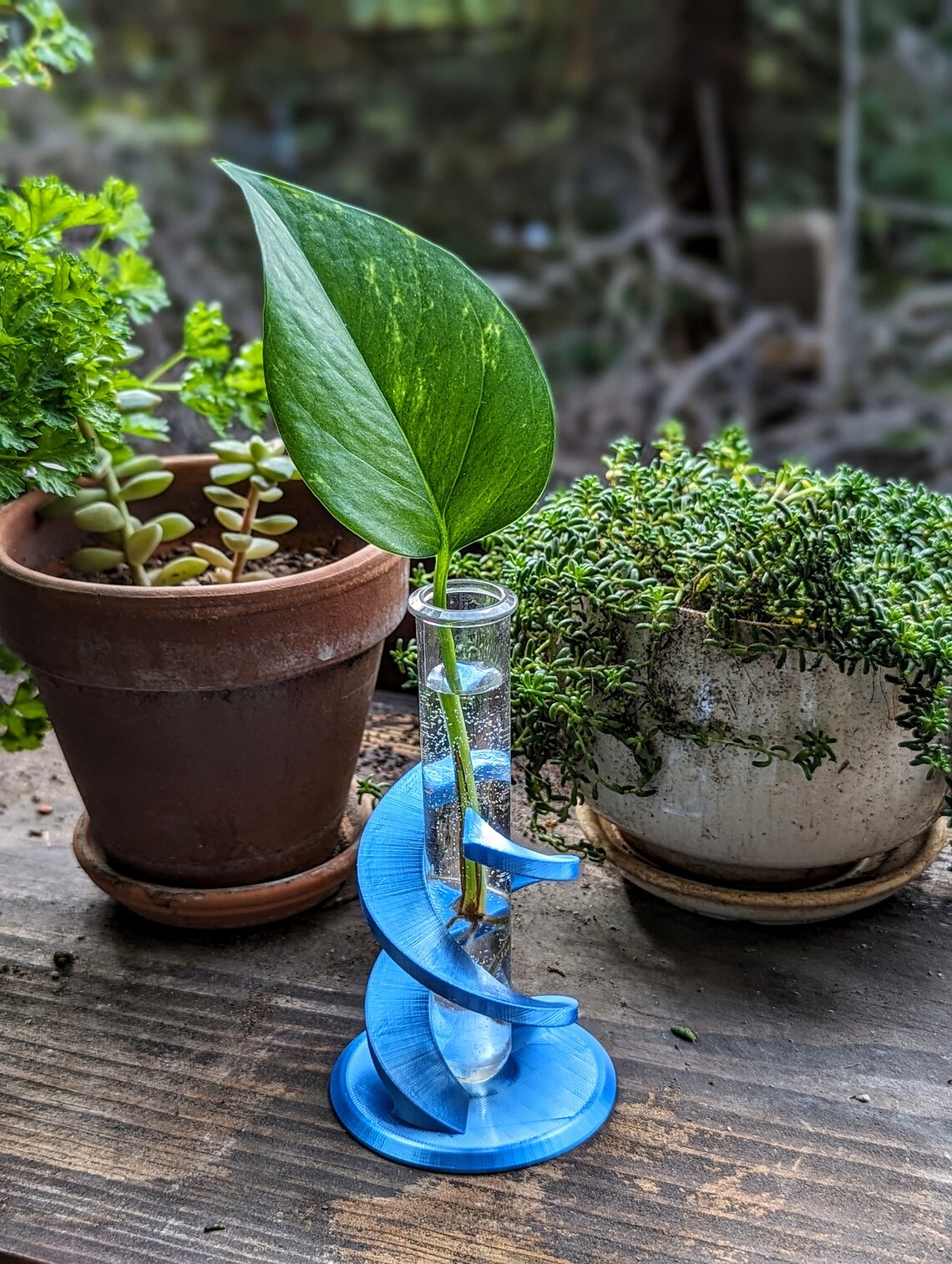 Pop Art Set, Spiral Helix Plant Propagation Station Stand With Test ...