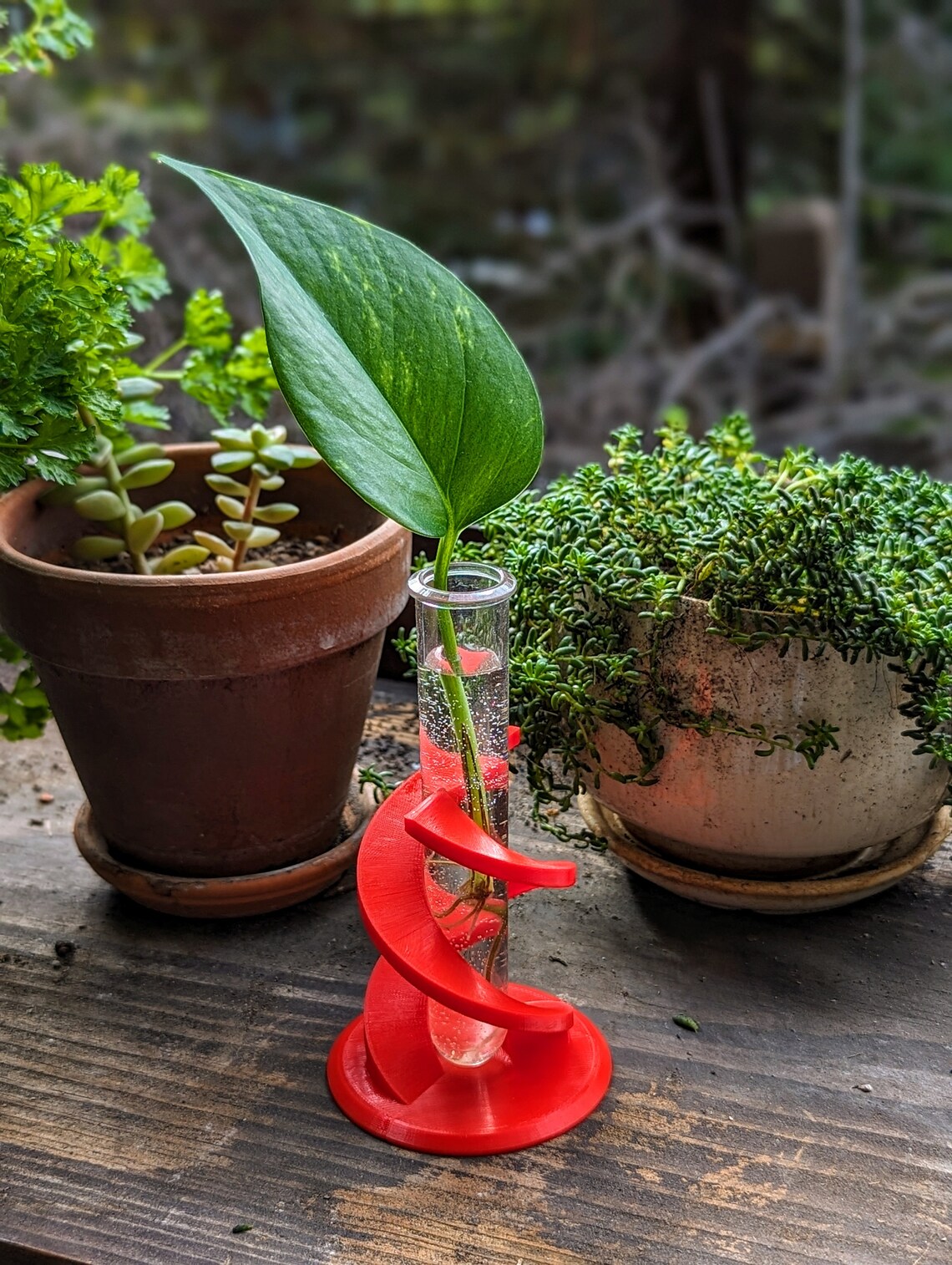 Pop Art Set, Spiral Helix Plant Propagation Station Stand With Test ...