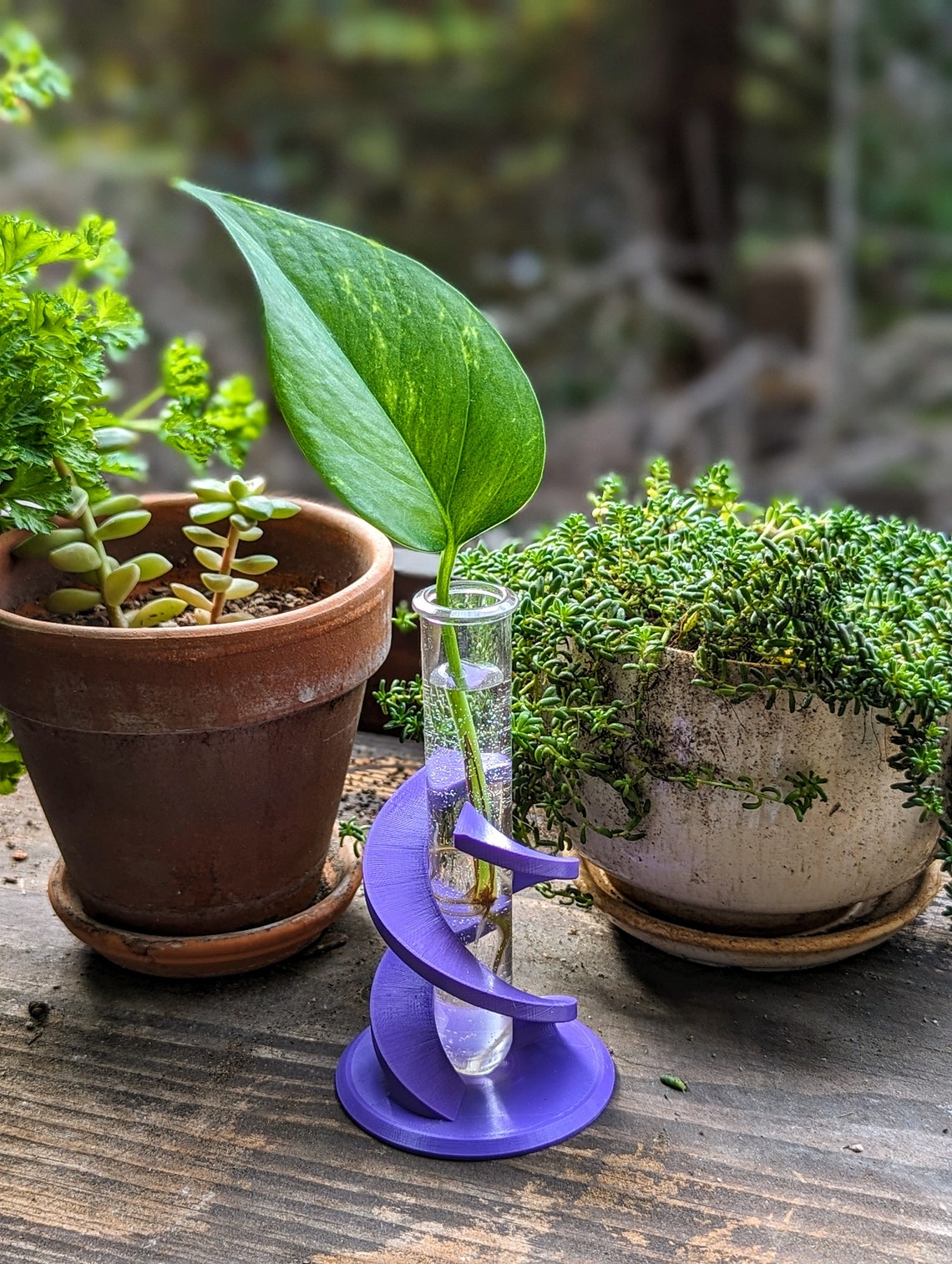 Pop Art Set, Spiral Helix Plant Propagation Station Stand With Test ...