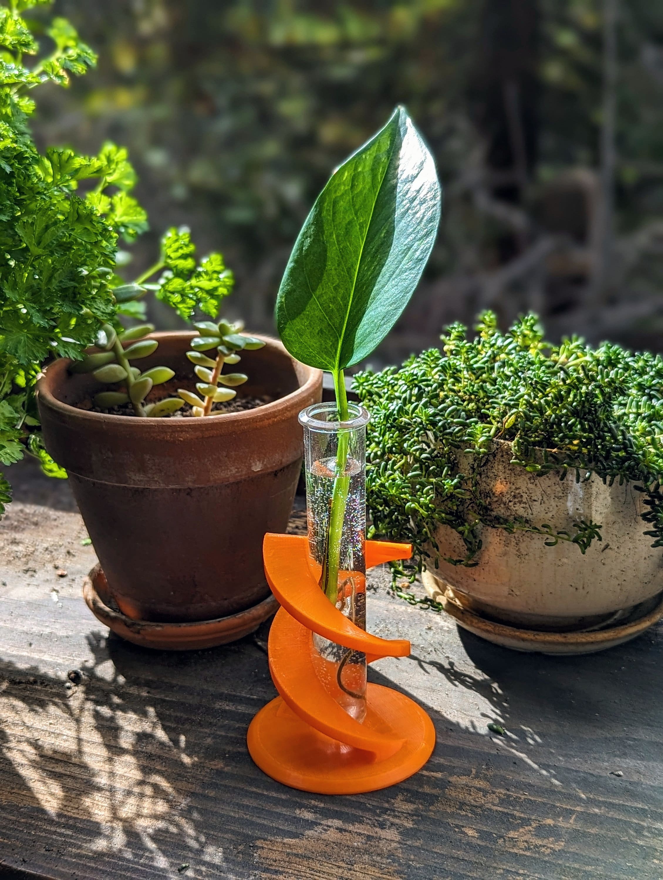 Pop Art Set, Spiral Helix Plant Propagation Station Stand With Test ...