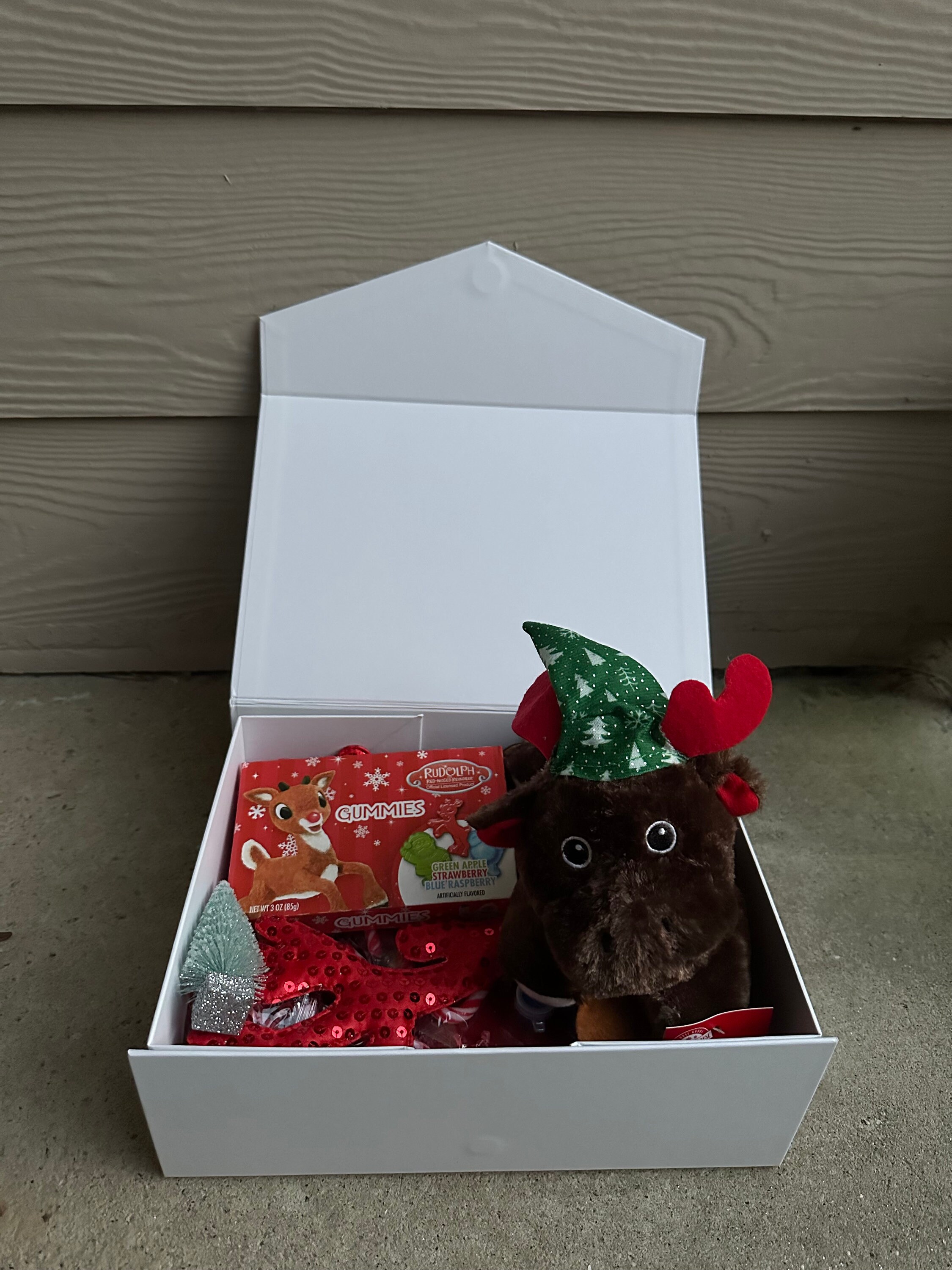 Rudolph Reindeer Adventure Gift Box for Kids Dress up Gift for Kids ...