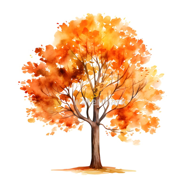 Autumn Trees Clipart, Fall Colored Trees, Great for Paper Crafts, Print ...