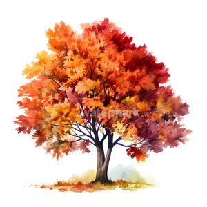 Autumn Trees Clipart, Fall Colored Trees, Great for Paper Crafts, Print ...