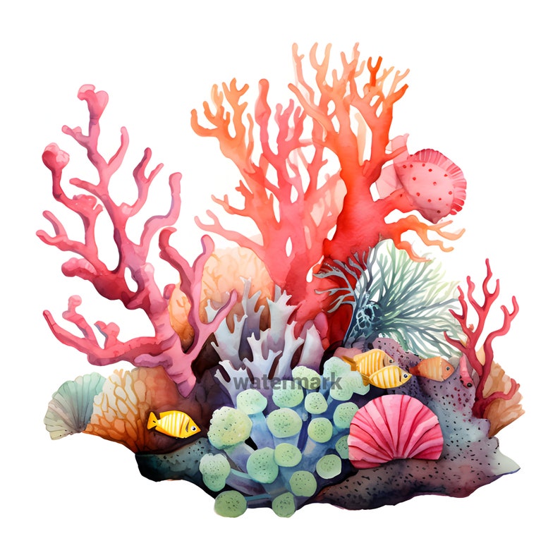 Coral Watercolor Clipart, Ocean Clipart, Sea Clipart, Great for Paper ...