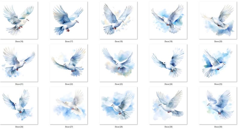 Dove Watercolor Clipart, Beautiful Images of Doves, Bird Clipart, for ...