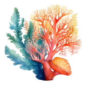 Coral Watercolor Clipart, Ocean Clipart, Sea Clipart, Great for Paper ...