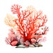 Coral Watercolor Clipart, Ocean Clipart, Sea Clipart, Great for Paper ...