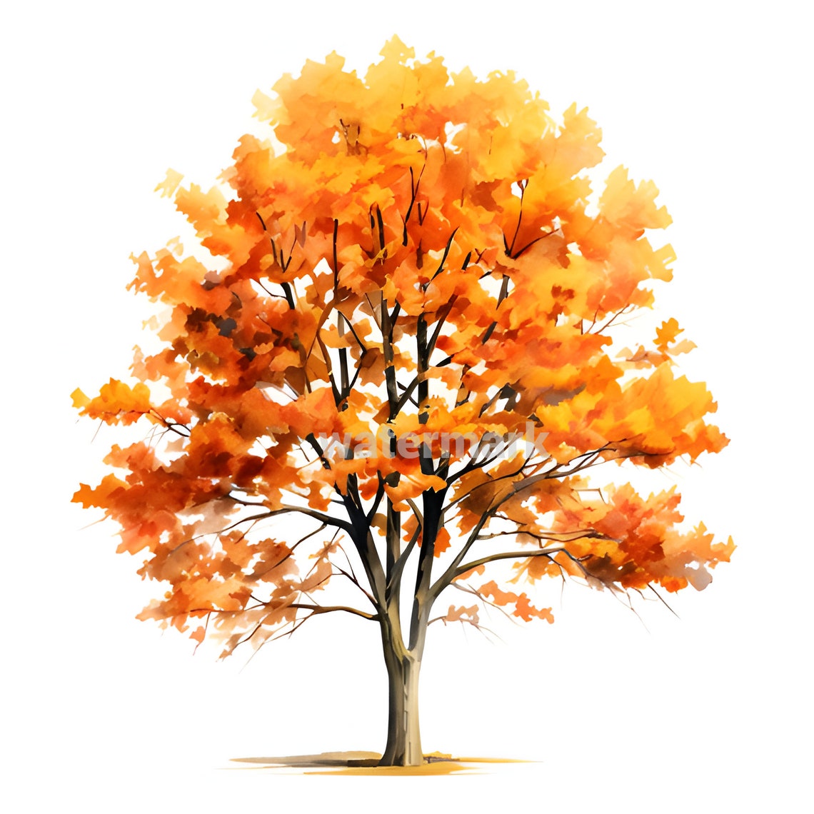 Autumn Trees Clipart, Fall Colored Trees, Great for Paper Crafts, Print ...