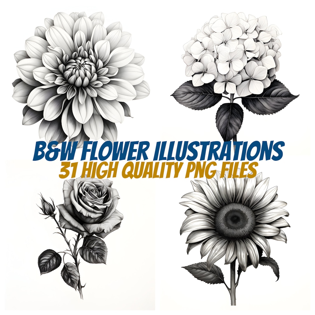 Floral Illustration Clipart, Black & White Floral Clip Art, Paper ...