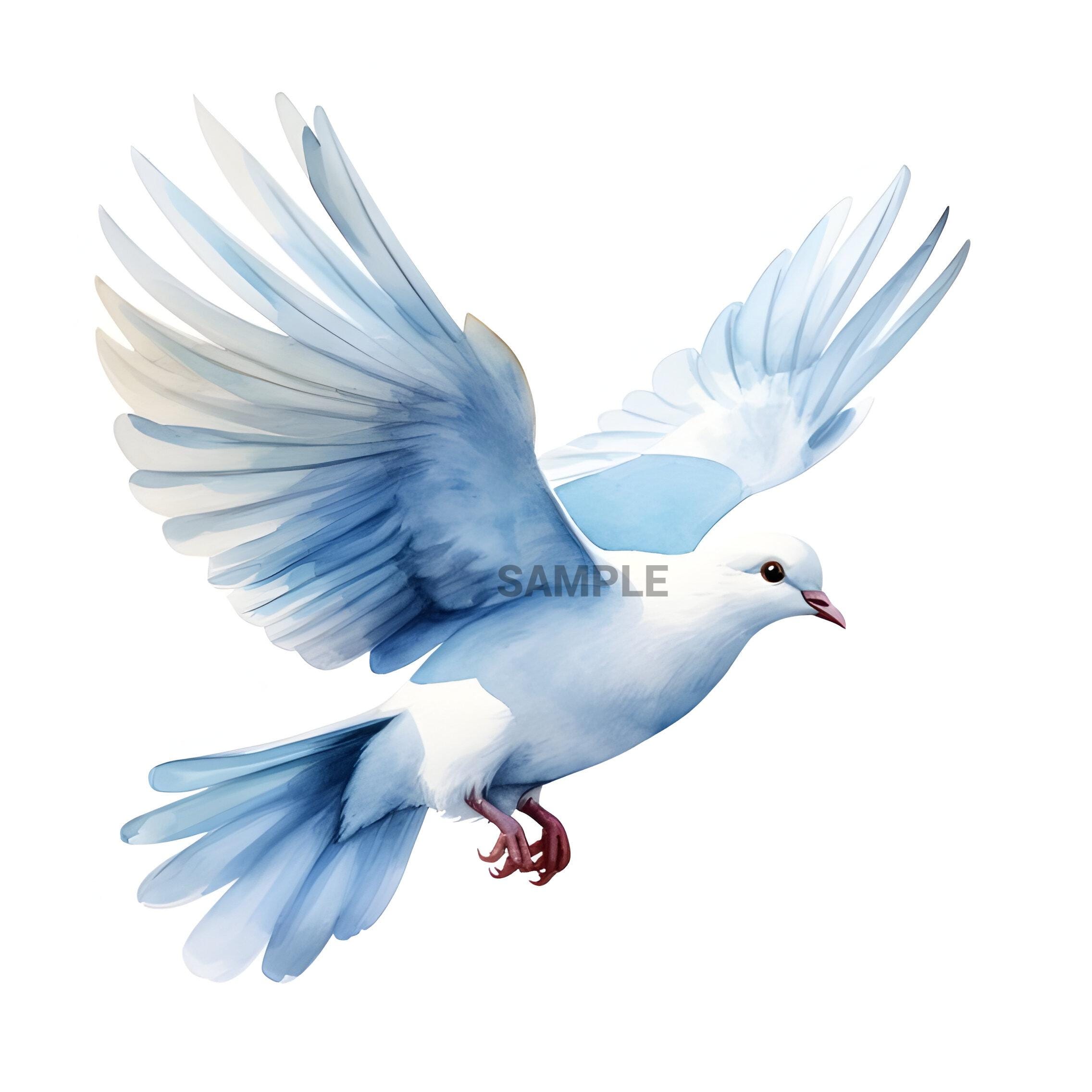 Dove Watercolor Clipart, Beautiful Images of Doves, Bird Clipart, for ...