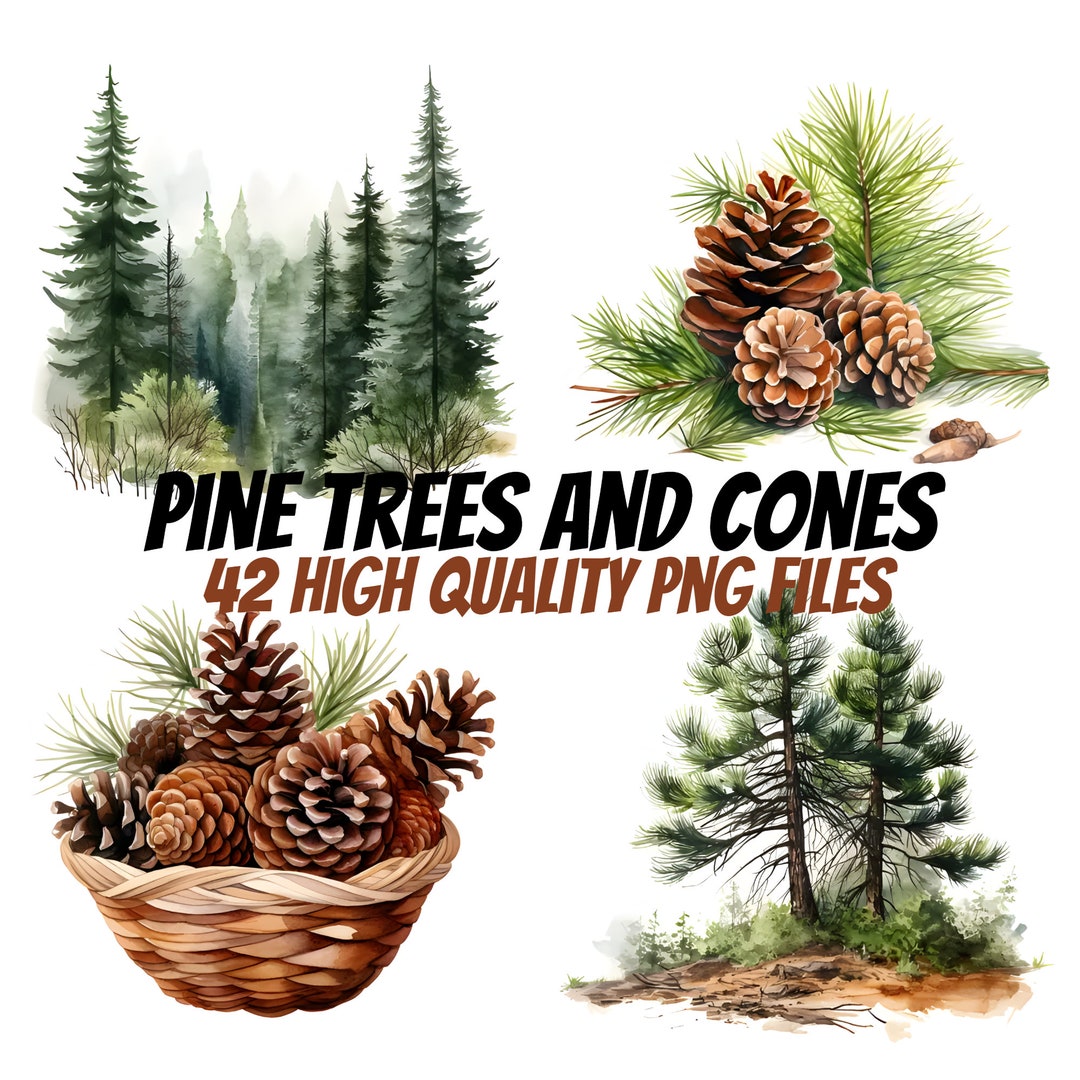 Pine Tree Watercolor Clipart, Pine Cone Clipart, Winter Pine, for Paper ...