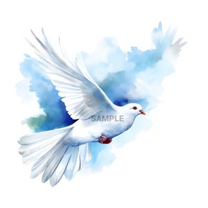Dove Watercolor Clipart, Beautiful Images of Doves, Bird Clipart, for ...