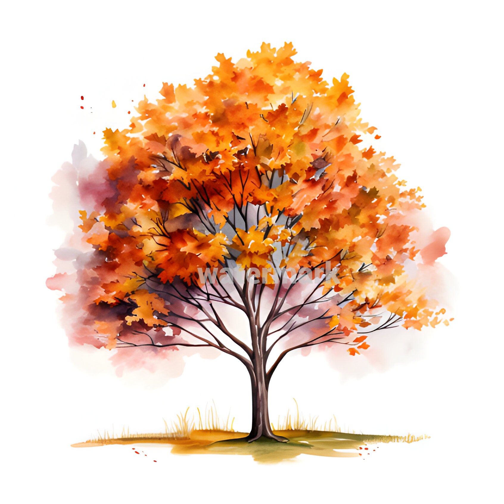 Autumn Trees Clipart, Fall Colored Trees, Great for Paper Crafts, Print ...