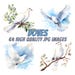 Dove Watercolor Clipart, Beautiful Images of Doves, Bird Clipart, for ...