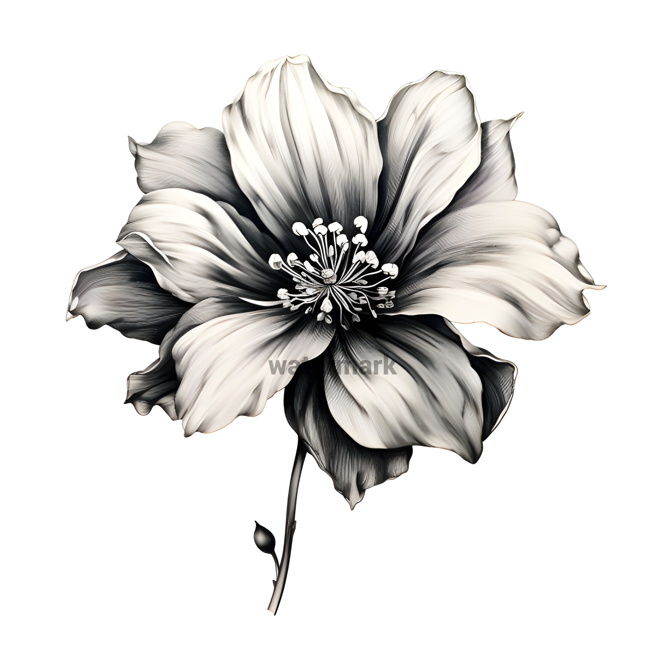 Floral Illustration Clipart, Black & White Floral Clip Art, Paper ...