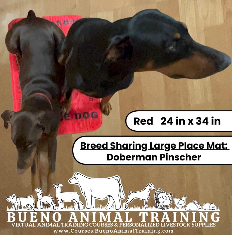 Custom Color Service Dog Settle Sit Down Mat for Public Access Training ...