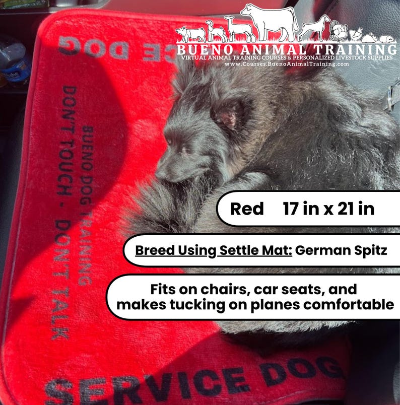 Custom Color Service Dog Settle Sit Down Mat for Public Access Training ...
