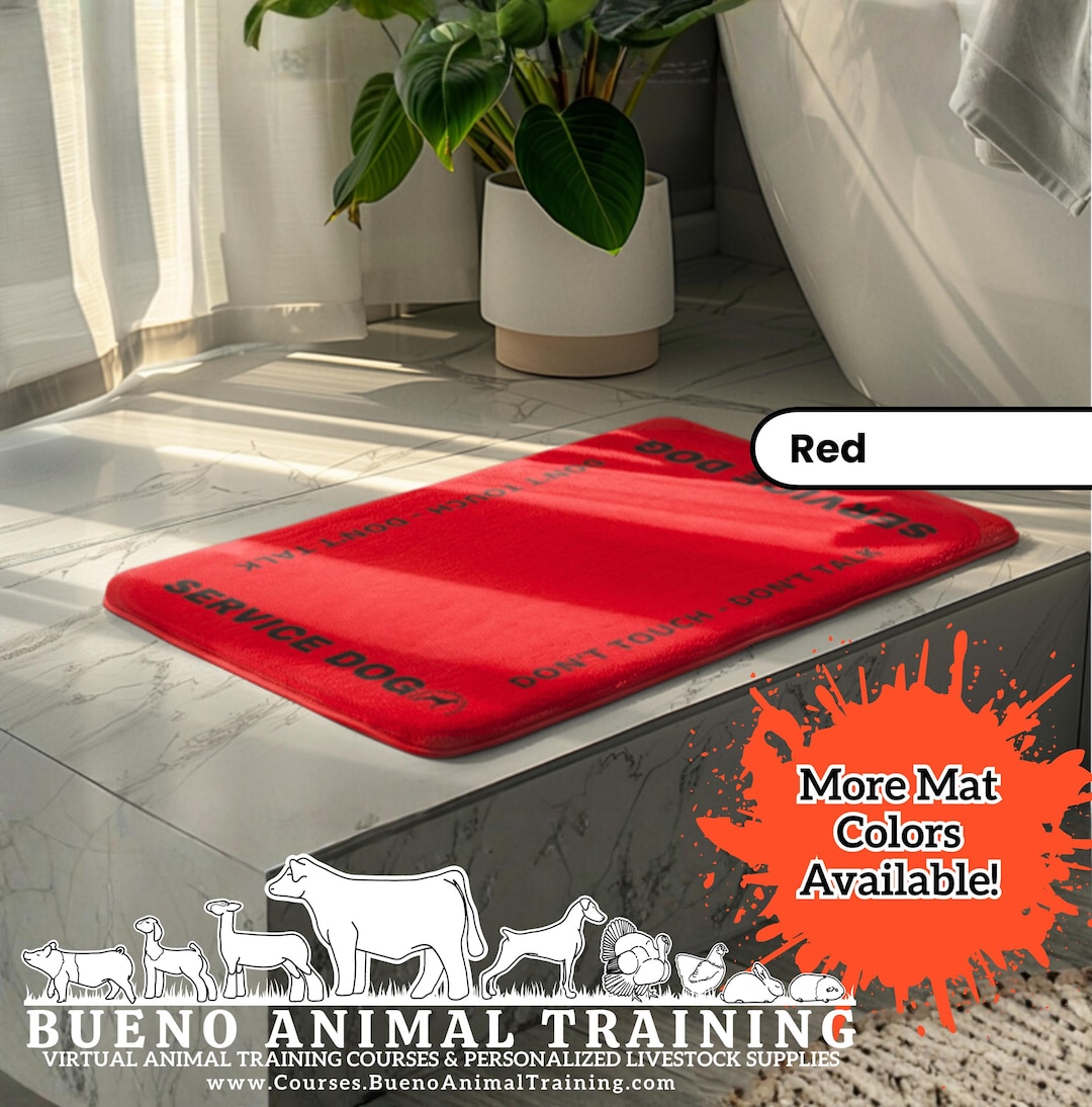 Custom Color Service Dog Settle Sit Down Mat for Public Access Training ...