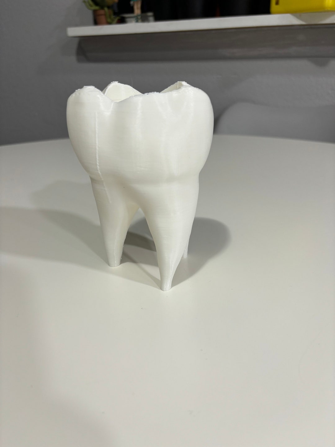 3D Printed Tooth Plant Holder - Etsy