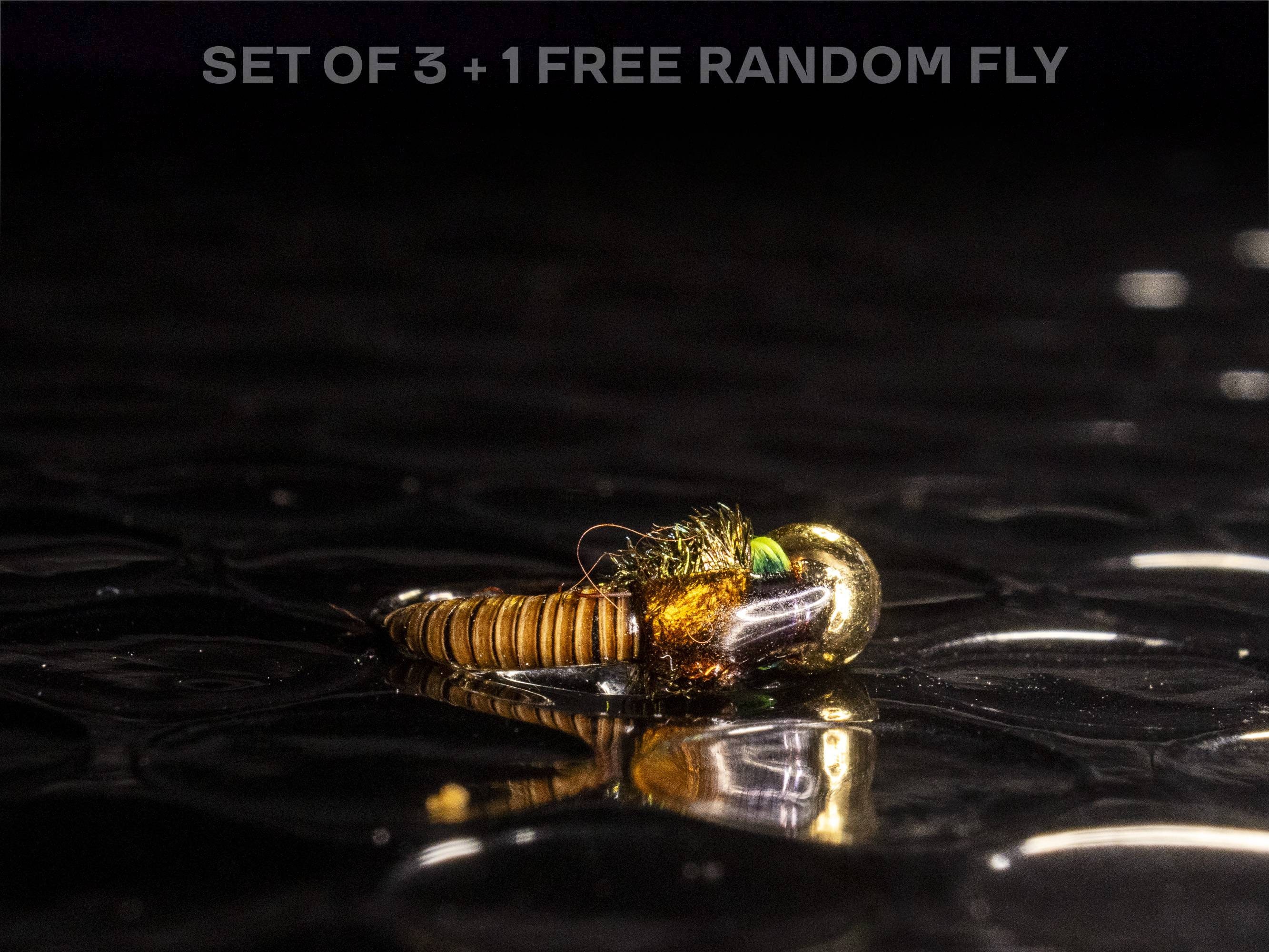 3 Caddi Larvae 1 FREE Random Fly Tungsten Bead Head Euro Nymph Perfect ...