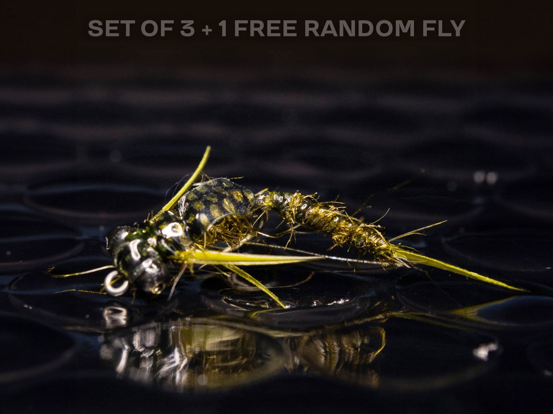 3 Articulated Nymphs + 1 FREE Random Fly — Micro Game Changer for Fly Fishing Bass and Trout ...