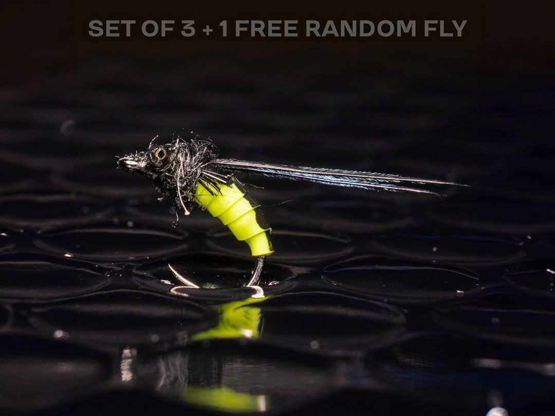 3 Caddis Pupa + 1 FREE Random Fly — Rubber Larva for Fly Fishing Nymphs ...