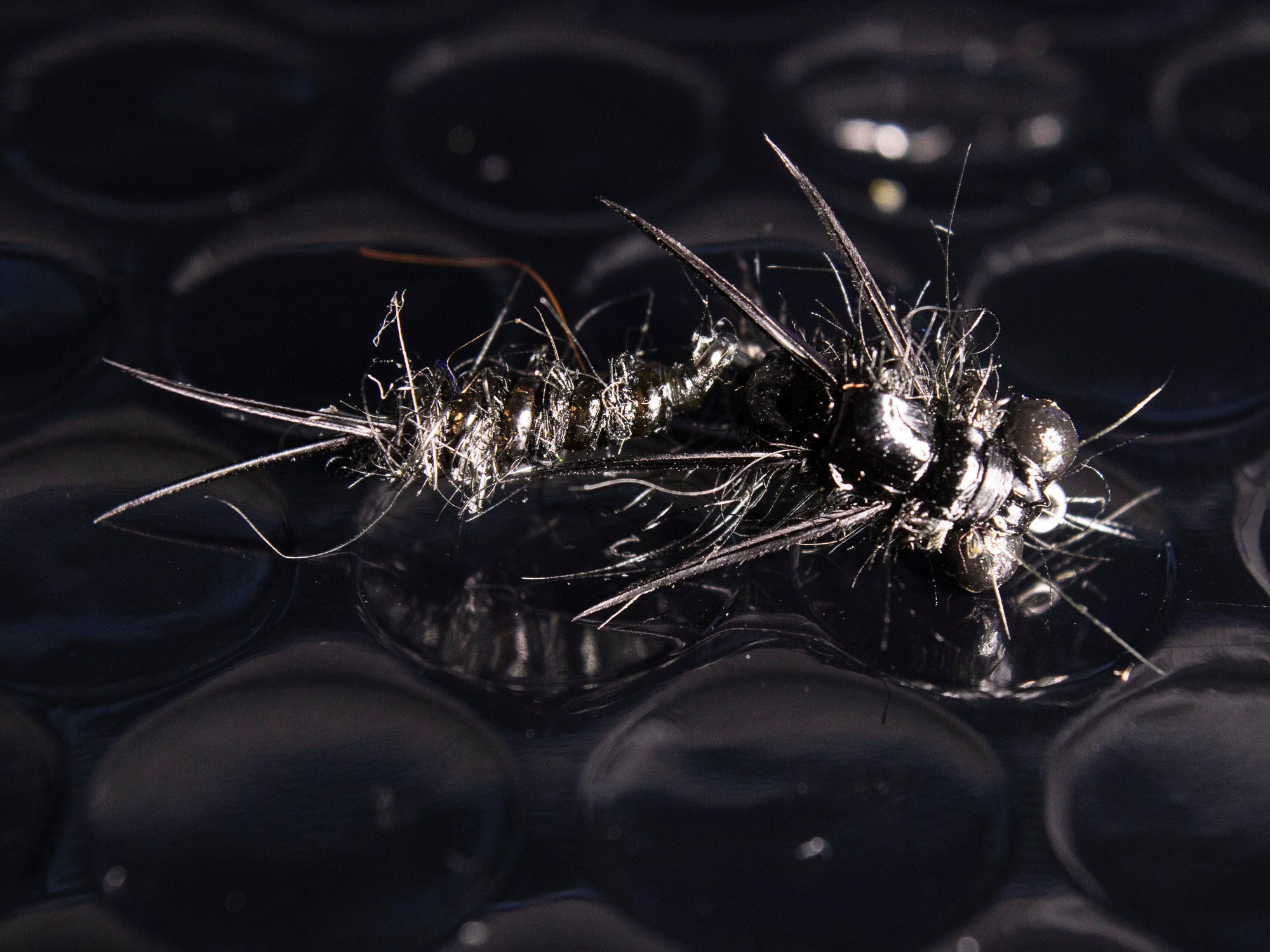 3 Articulated Nymphs 1 FREE Random Fly Micro Game Changer for Fly ...