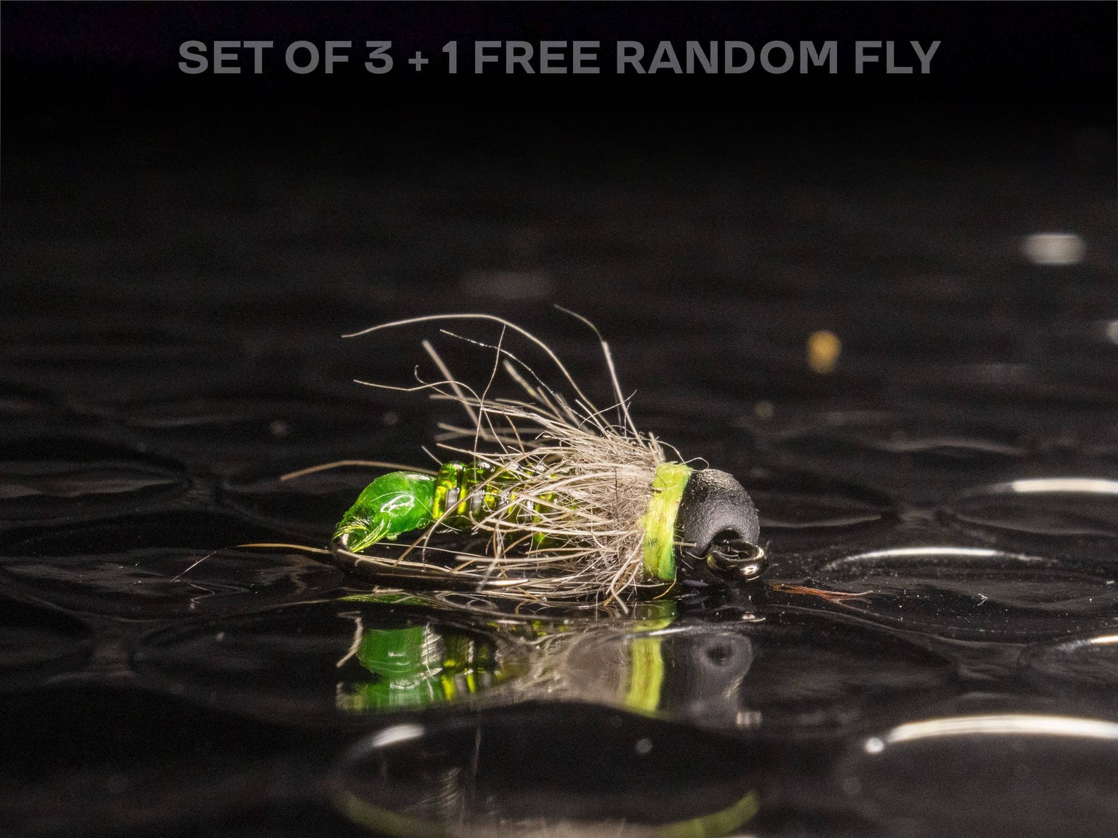 3 Euro Nymphing Flies 1 FREE Random Fly Tungsten Caddis Hot Spot Egg ...