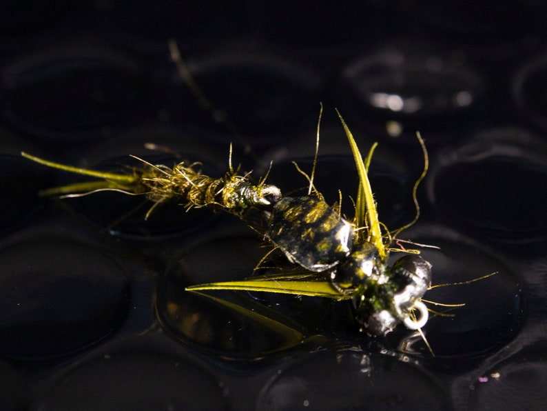 3 Articulated Nymphs + 1 FREE Random Fly — Micro Game Changer for Fly ...