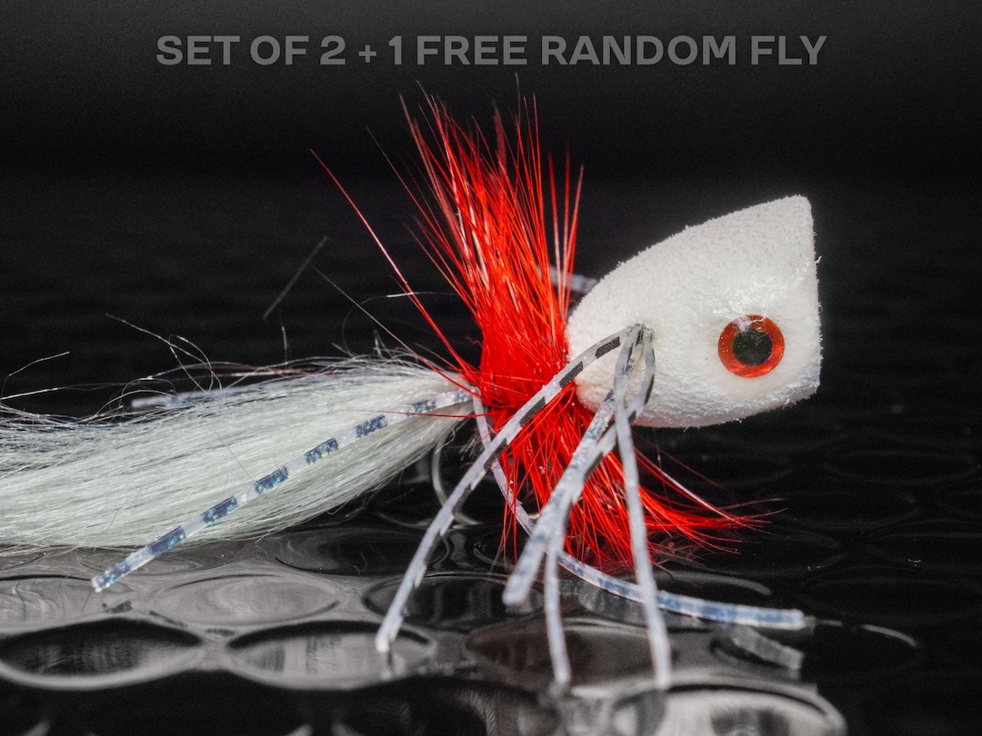 2 Poppers + 1 FREE Random Fly — Bass Popper Surface Flies Perfect for ...