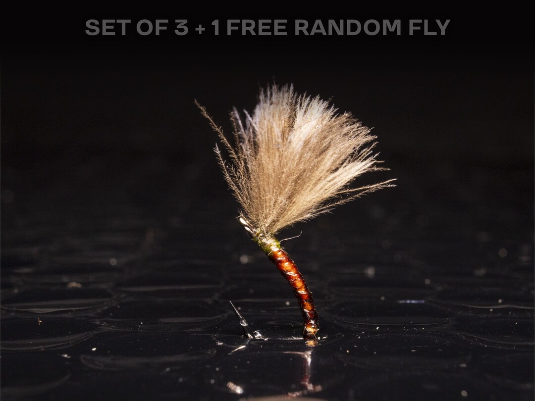 3 Brown Emerger + 1 FREE Random Fly — Wet Flies for Fly Fishing Perfect ...