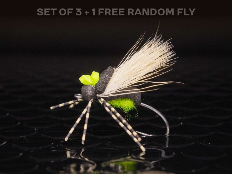 3 Llano Bug + 1 FREE Random Fly — Hopper Terrestrial Style Dry Flies ...