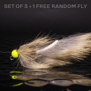 3 Leech Streamer + 1 FREE Random Fly — Tungsten Euro Streamer for Fly ...