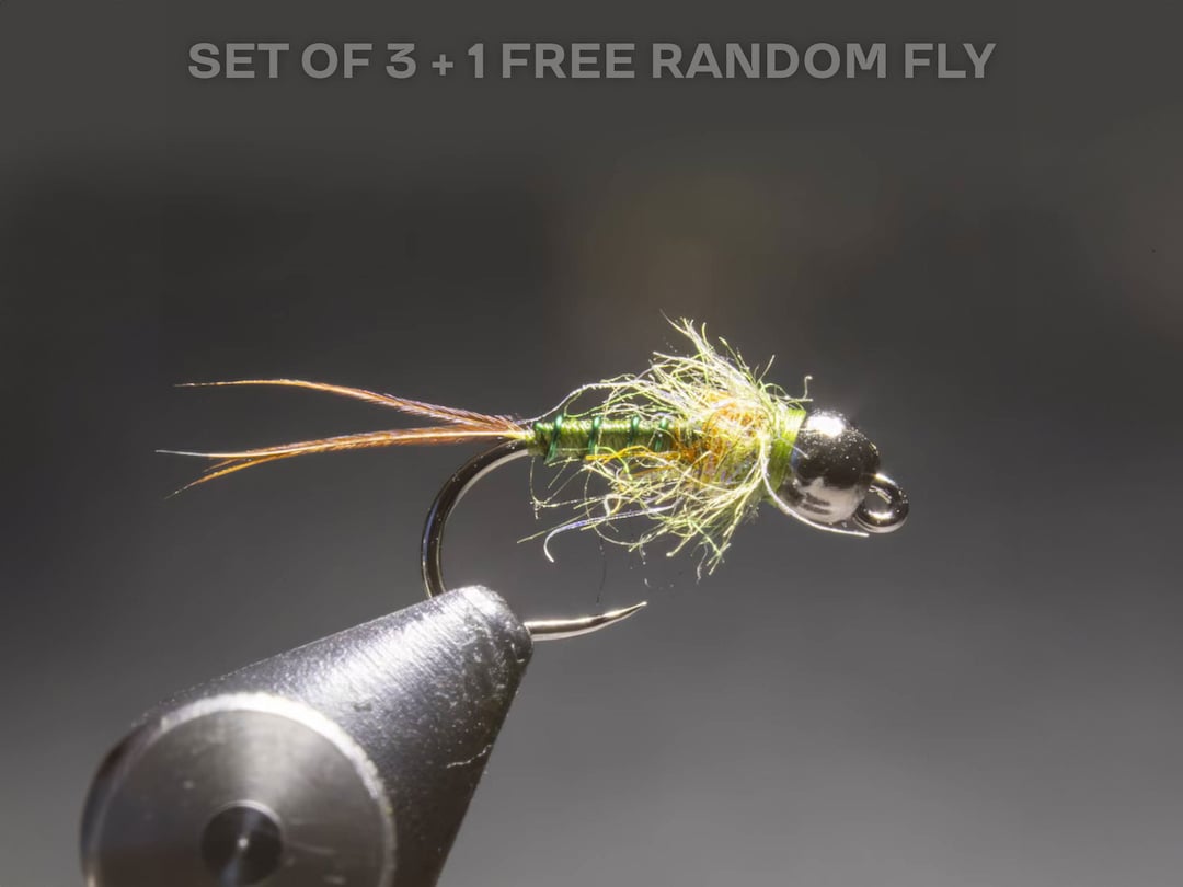 3 Tactical Jig + 1 FREE Random Fly — Tungsten Euro Nymphing Flies ...