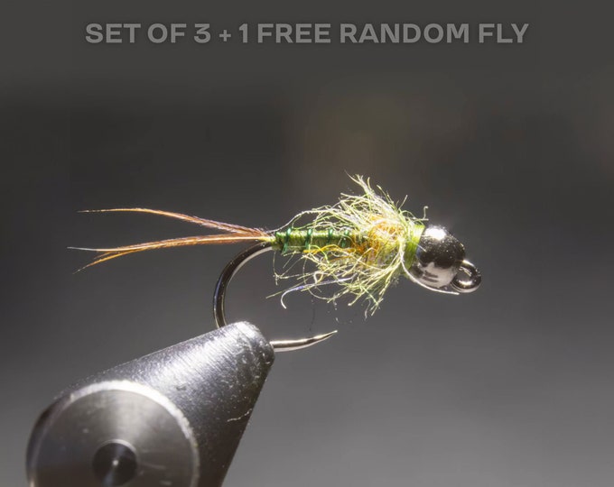 3 Tactical Jig + 1 FREE Random Fly — Tungsten Euro Nymphing Flies Perfect for River Fishing ...