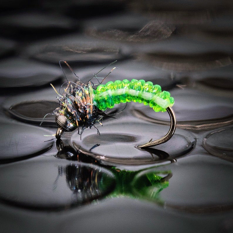 3 Caddis Larva + 1 FREE Random Fly — Tungsten Bead Head Effective Euro ...